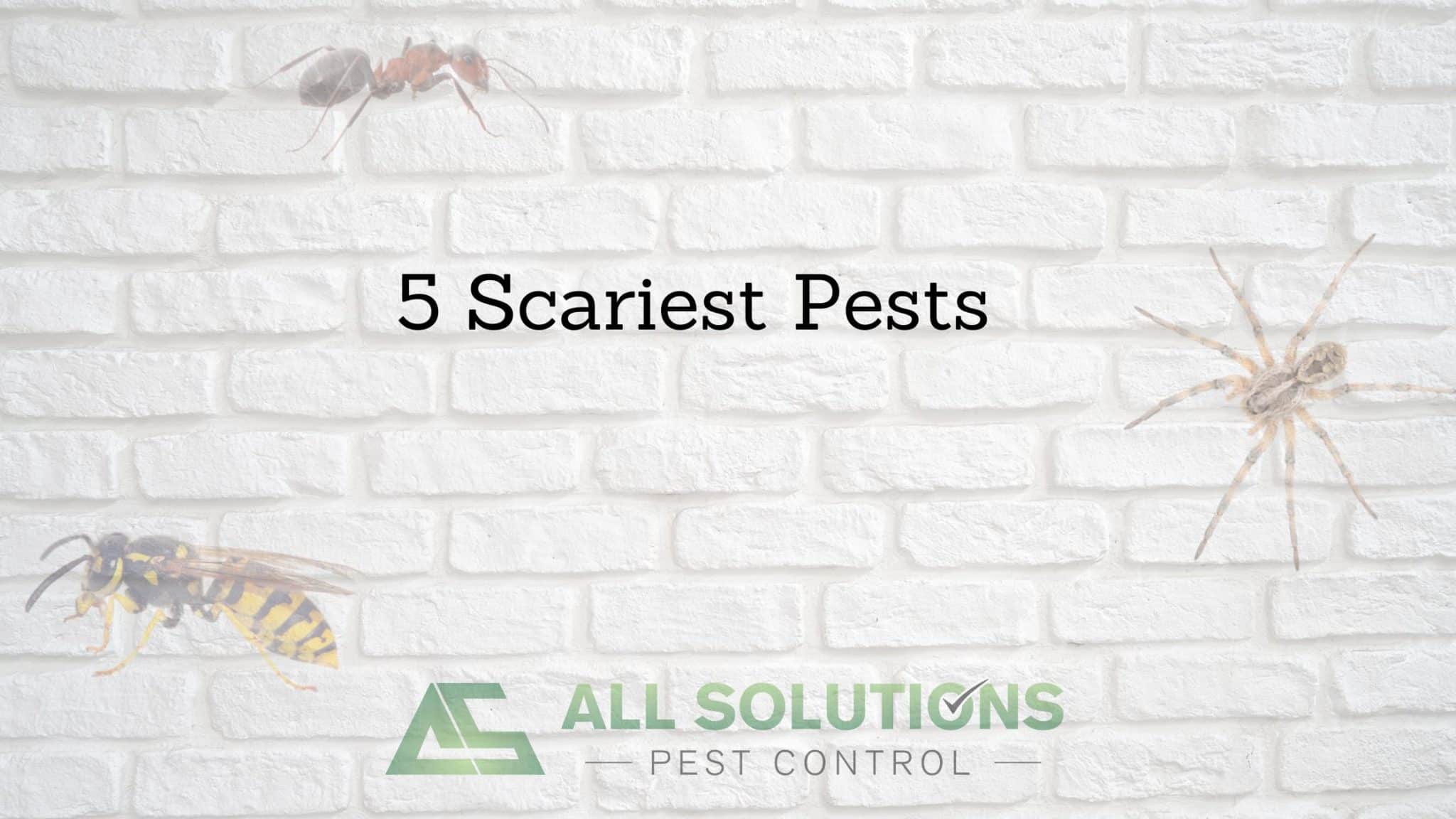 5 Scariest Pests - All Solutions Pest Control