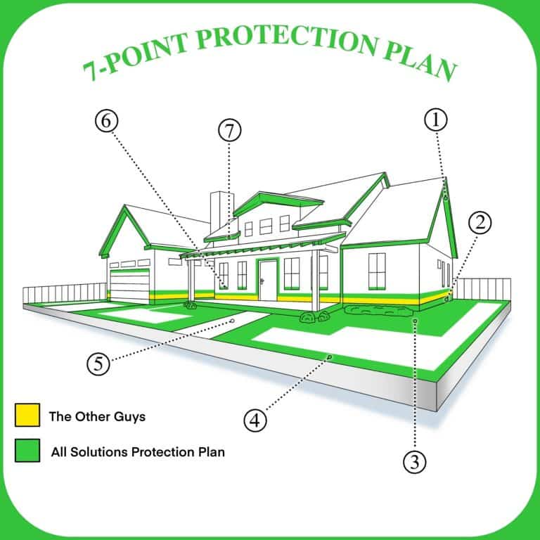 All Solutions Pest Control -St. Charles Pest Control- Affordable ...