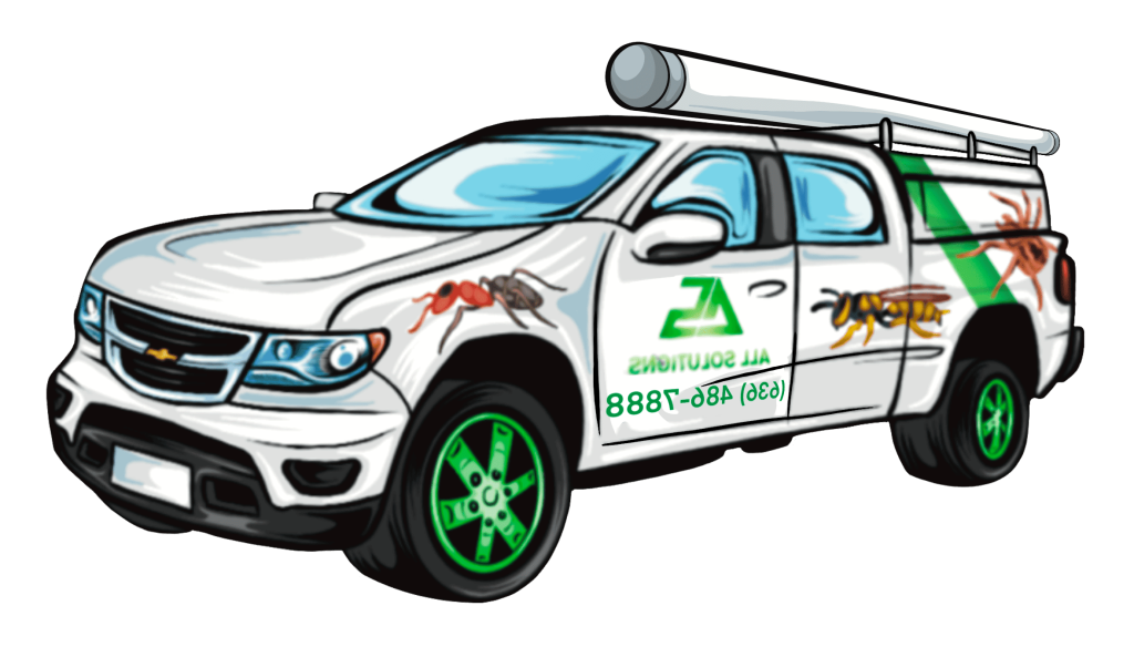 Pest Control St. Charles MO - All Solutions Pest Control