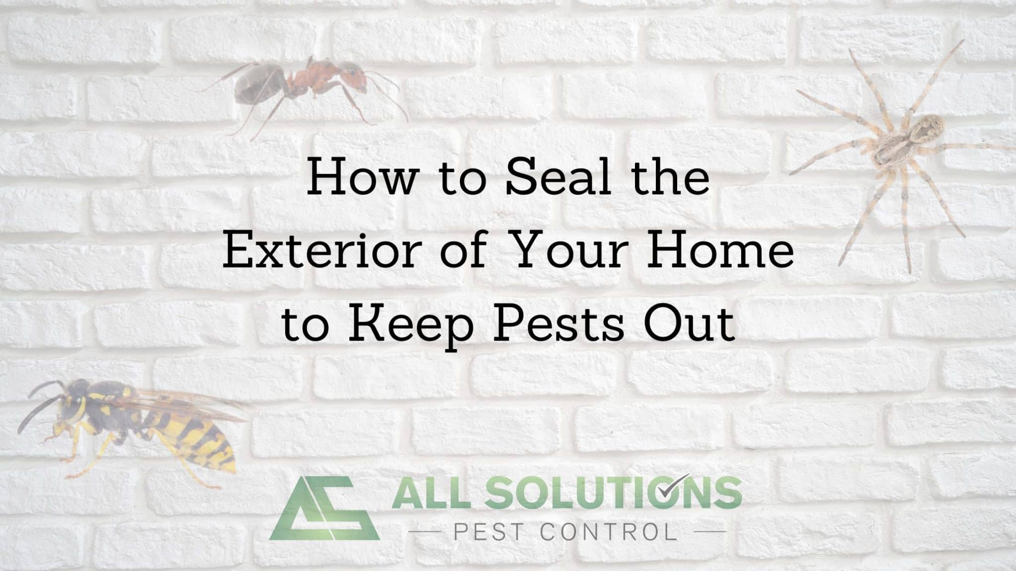 Keep Pests Out-How to Seal the Exterior of Your Home - All Solutions ...