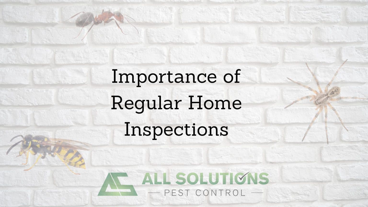 Importance of Regular Home Inspections - All Solutions Pest Control
