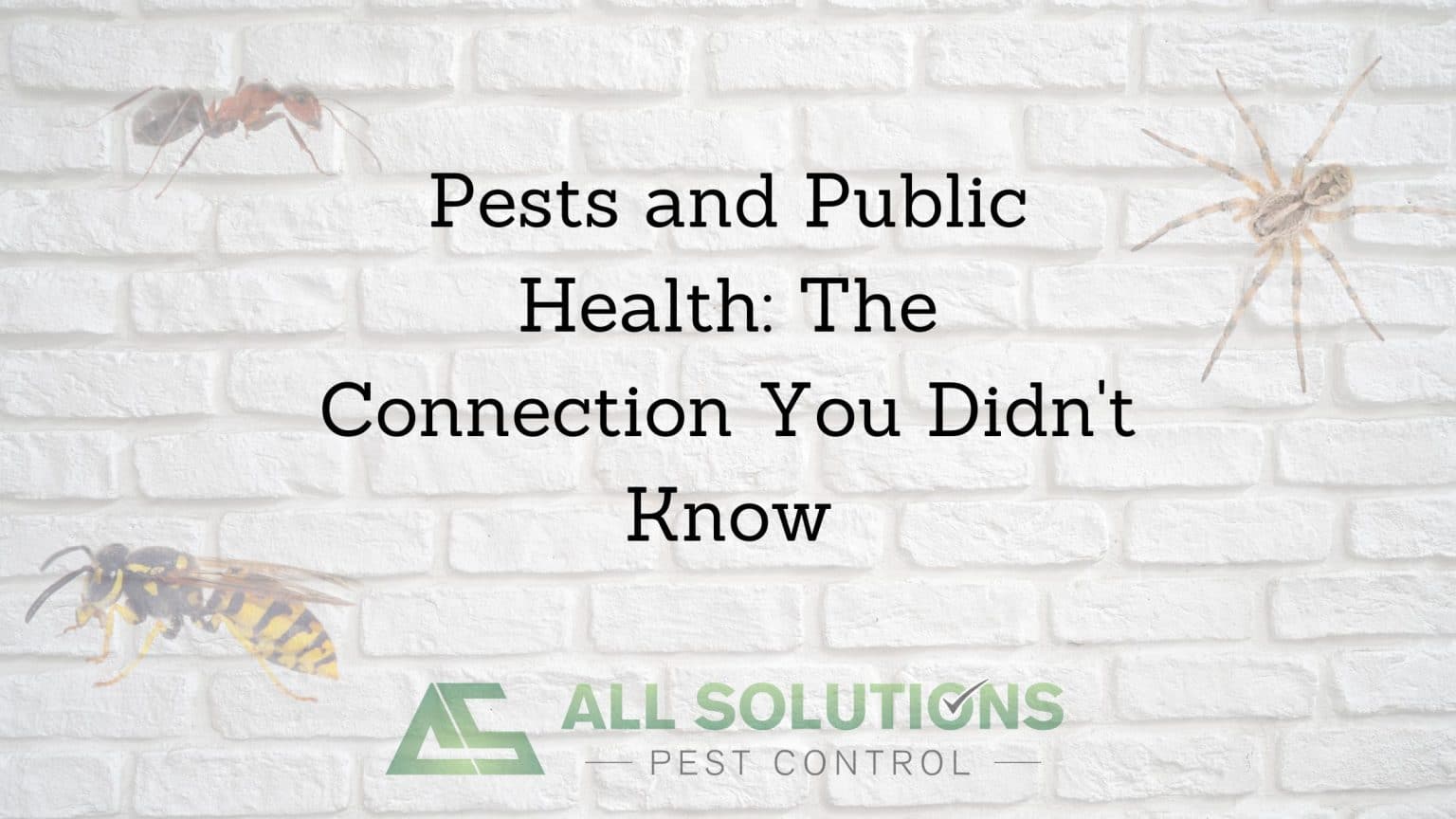 Pests and Public Health: The Connection You Didn't Know - All Solutions ...