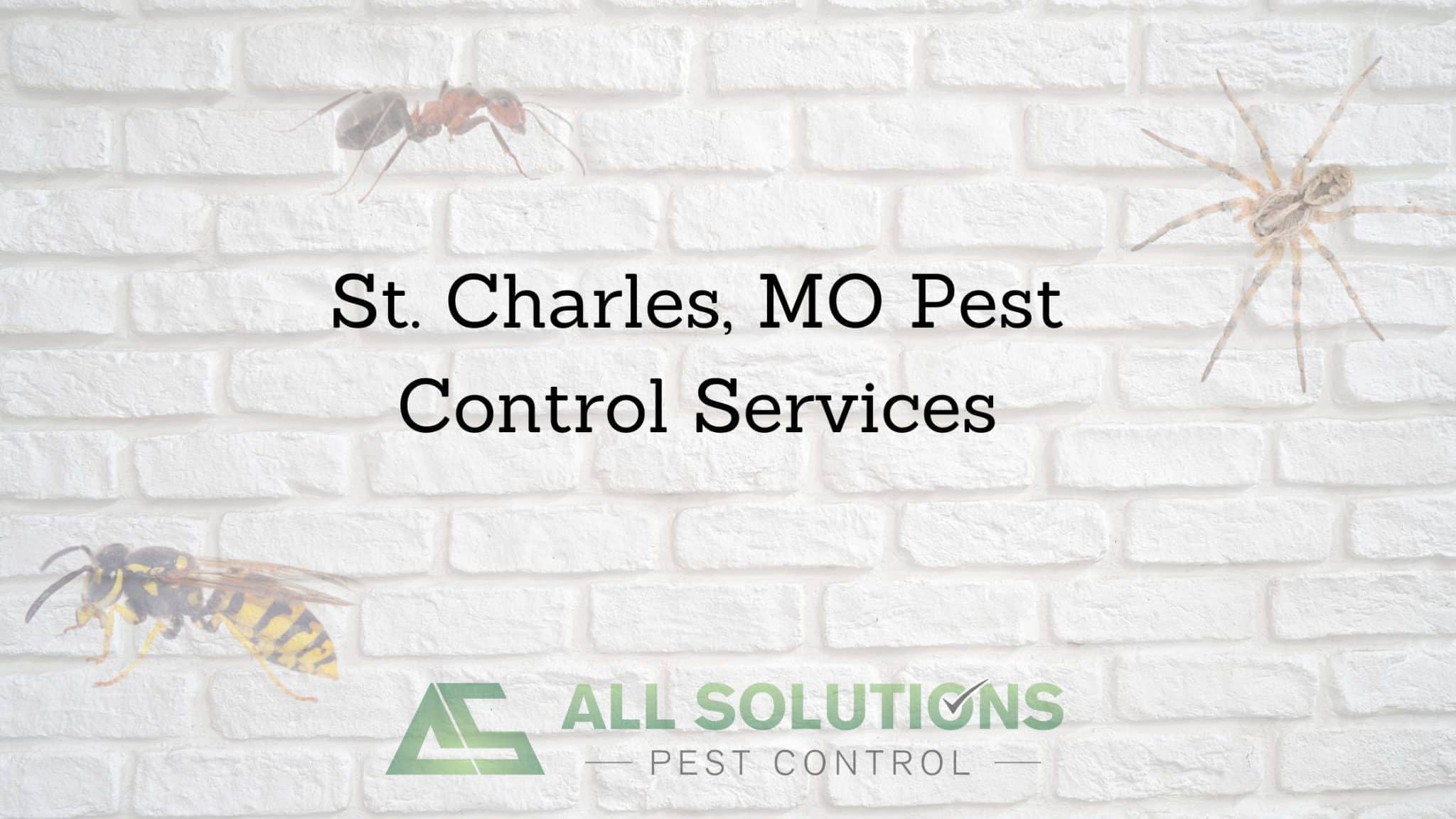 St. Charles MO Pest Control Services - All Solutions Pest Control