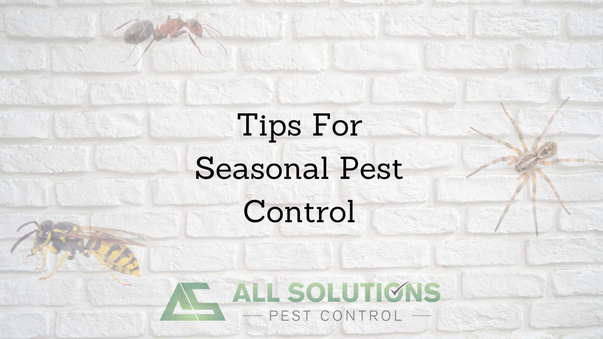 Tips For Seasonal Pest Control - All Solutions Pest Control