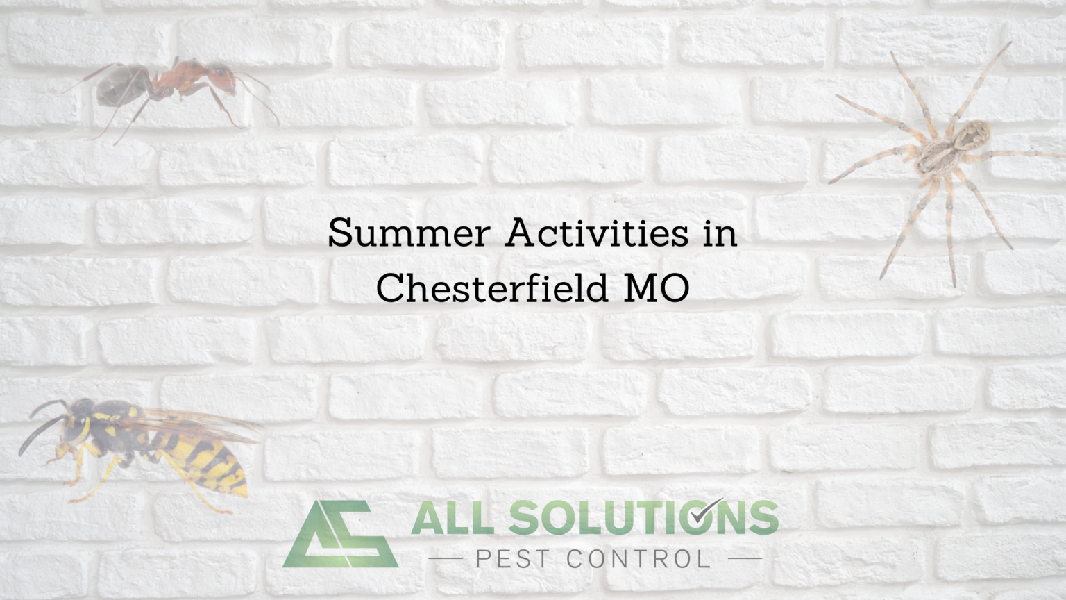 Summer Activities in Chesterfield MO - All Solutions Pest Control