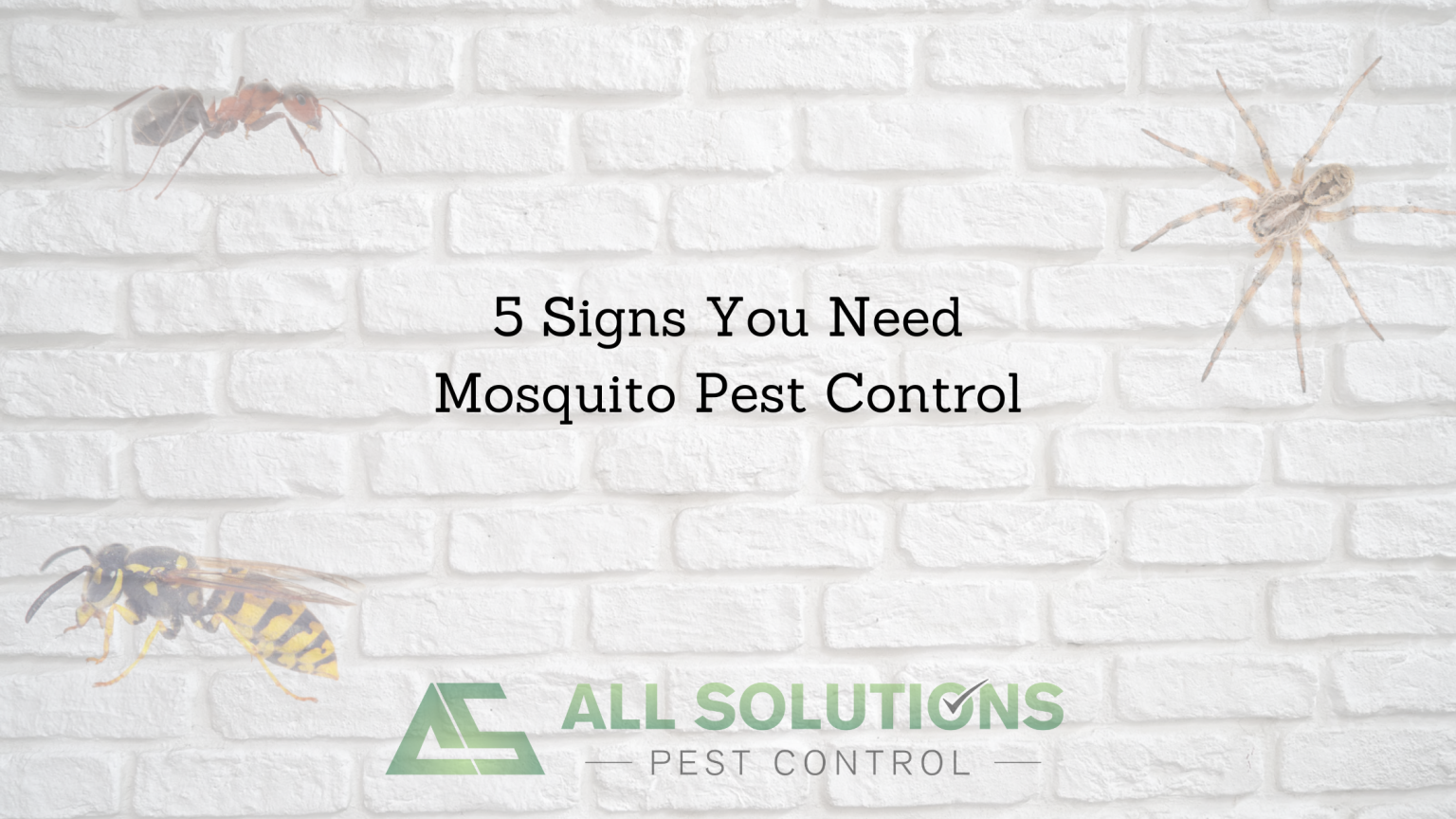 5 Signs You Need Mosquito Pest Control - All Solutions Pest Control