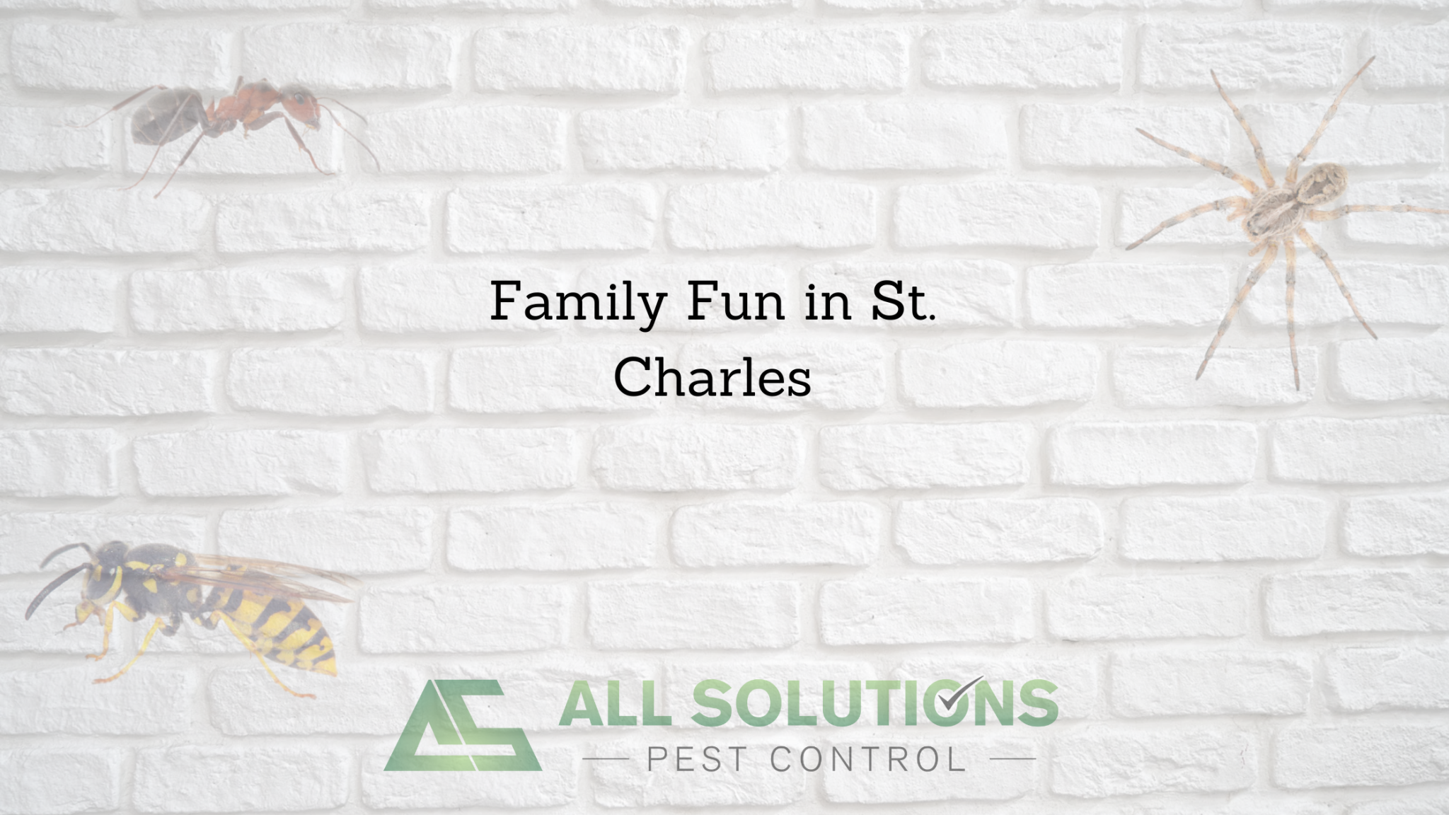 Family Fun in St. Charles - All Solutions Pest Control
