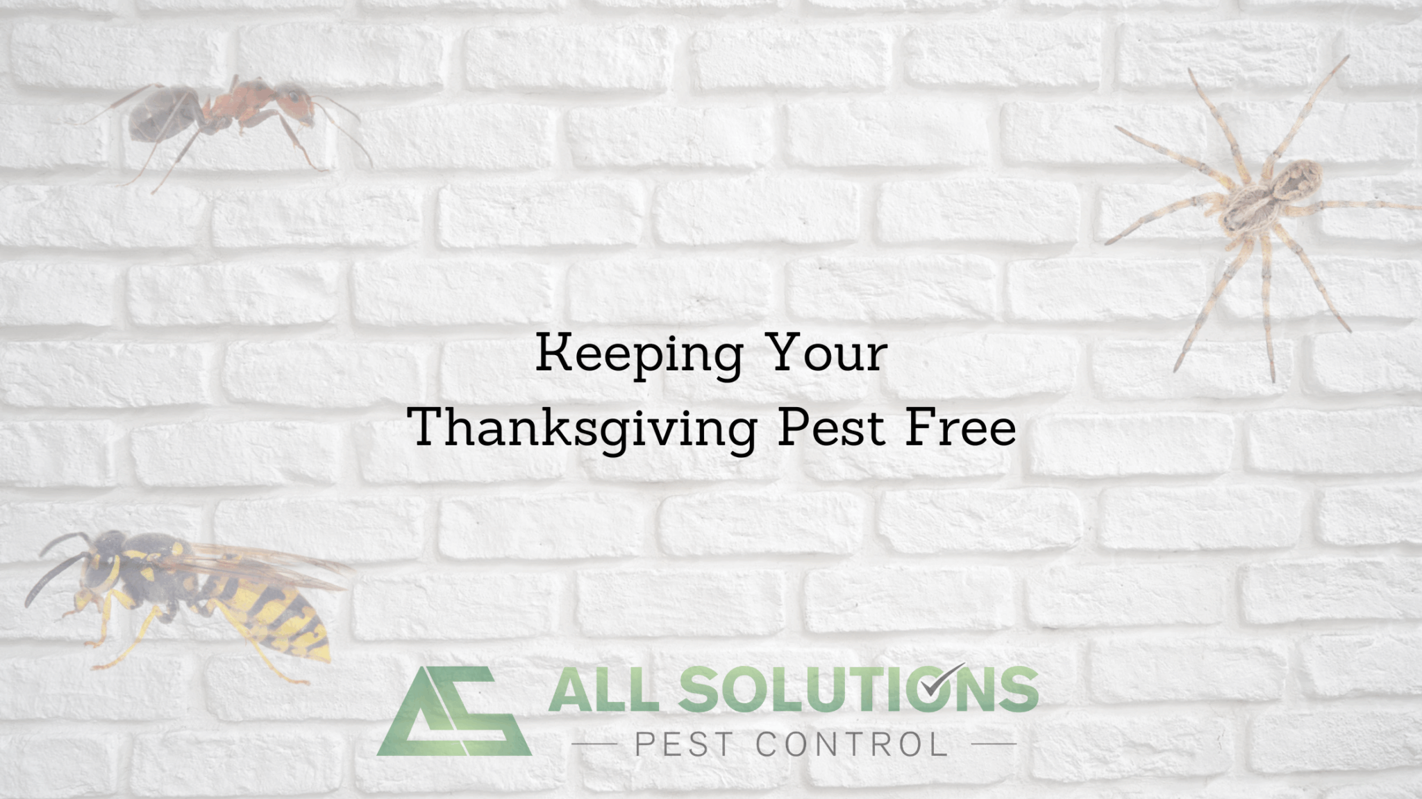 Keeping Your Thanksgiving Pest Free - All Solutions Pest Control